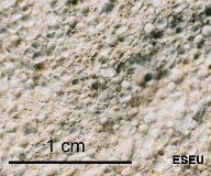 Oolitic Limestone